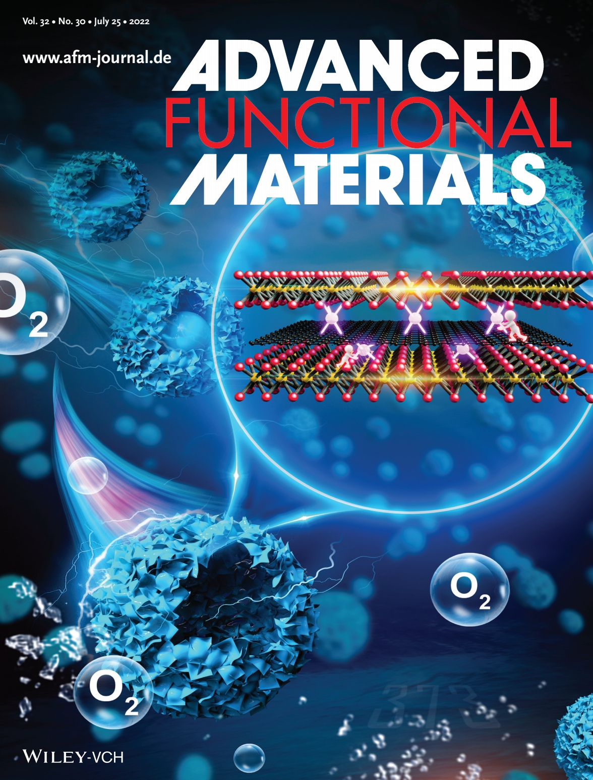 巩飞龙等老师Adv. Funct. Mater.论文介绍